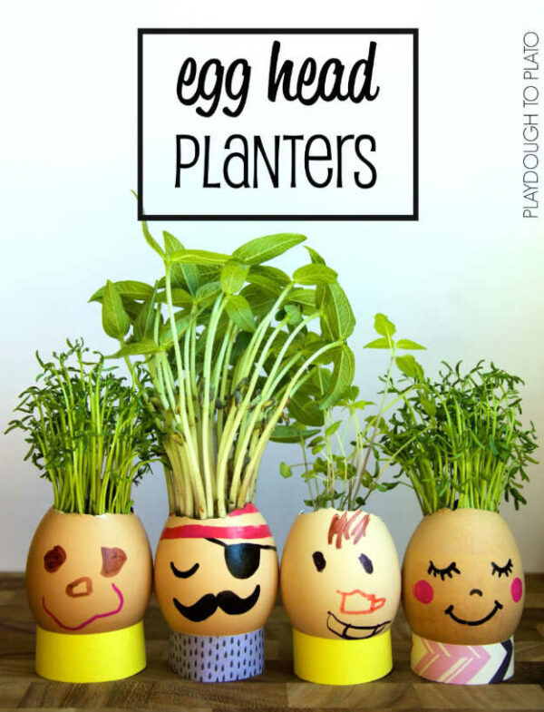 50+ Fun and Educational Seed Activities for Kids - The Educators' Spin ...