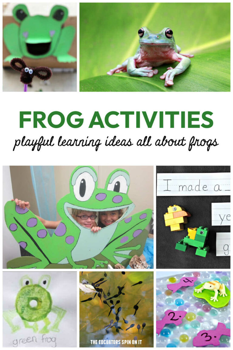 Frog Themed Toss Game for Preschoolers with Pipe Cleaner Bugs