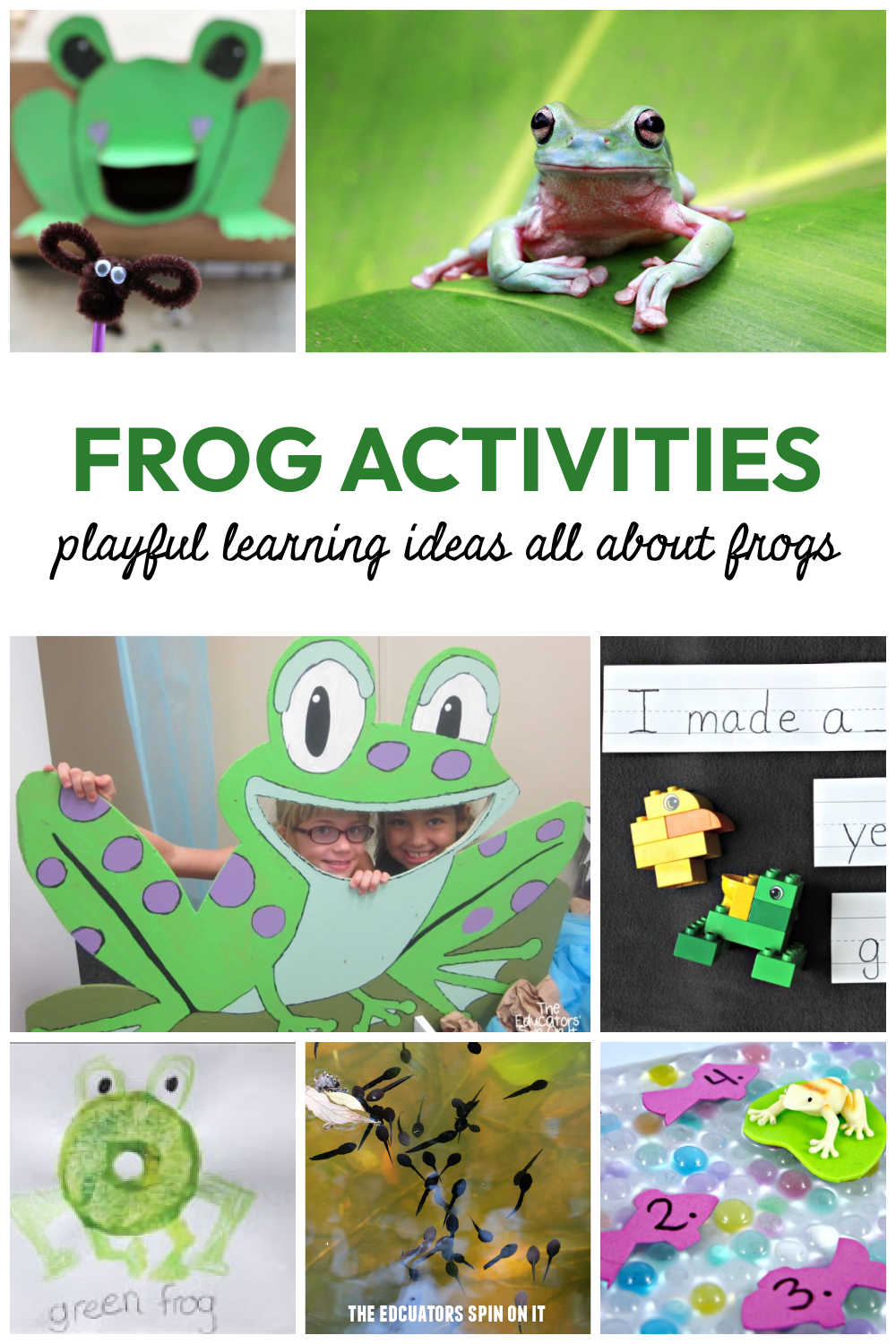 10 Frog Activities for It’s Mine by Leo Lionni - The Educators' Spin On It