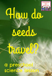 50+ Fun and Educational Seed Activities for Kids - The Educators' Spin ...
