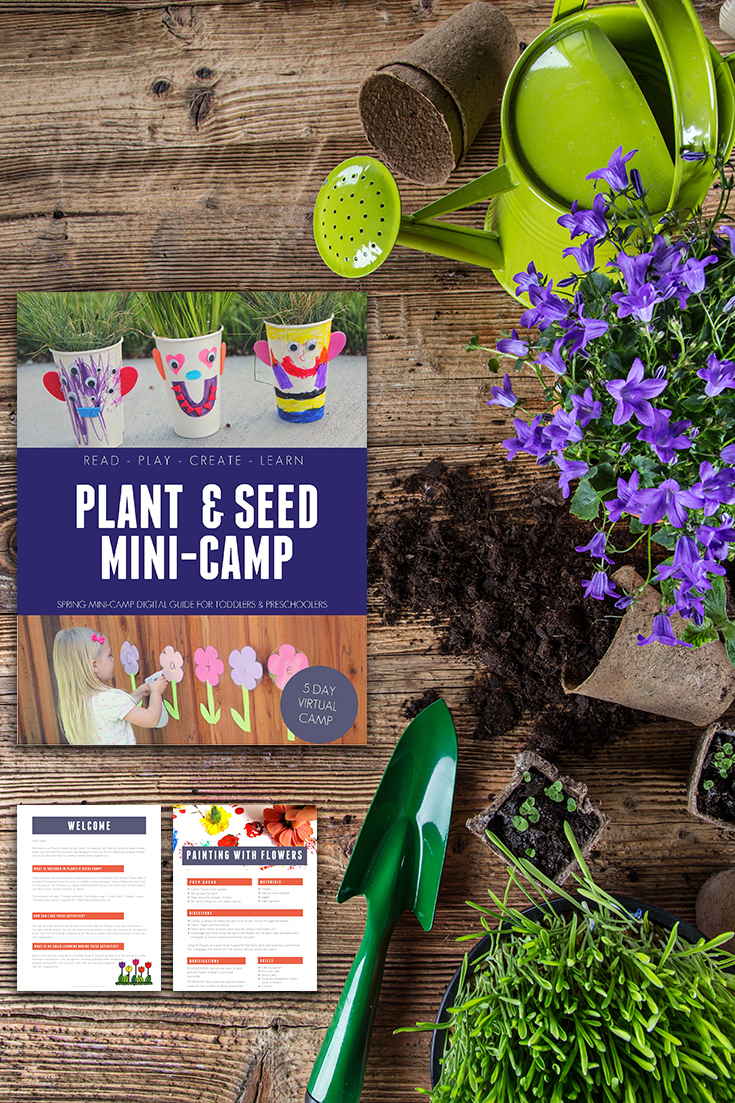 50+ Fun and Educational Seed Activities for Kids - The Educators' Spin ...