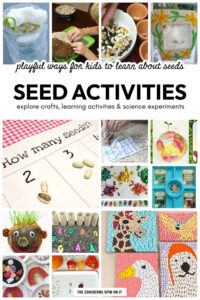 50+ Fun and Educational Seed Activities for Kids - The Educators' Spin ...