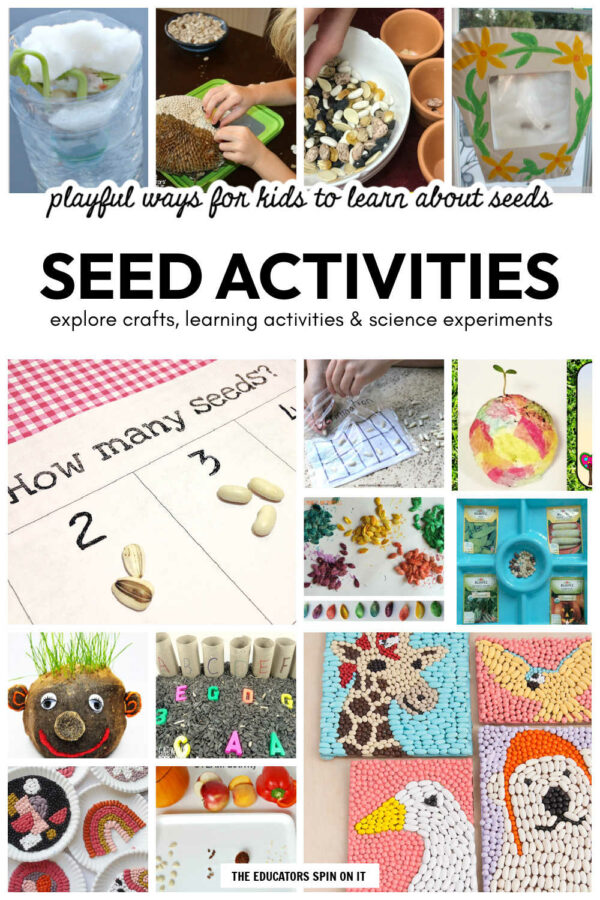 50+ Fun and Educational Seed Activities for Kids - The Educators' Spin ...