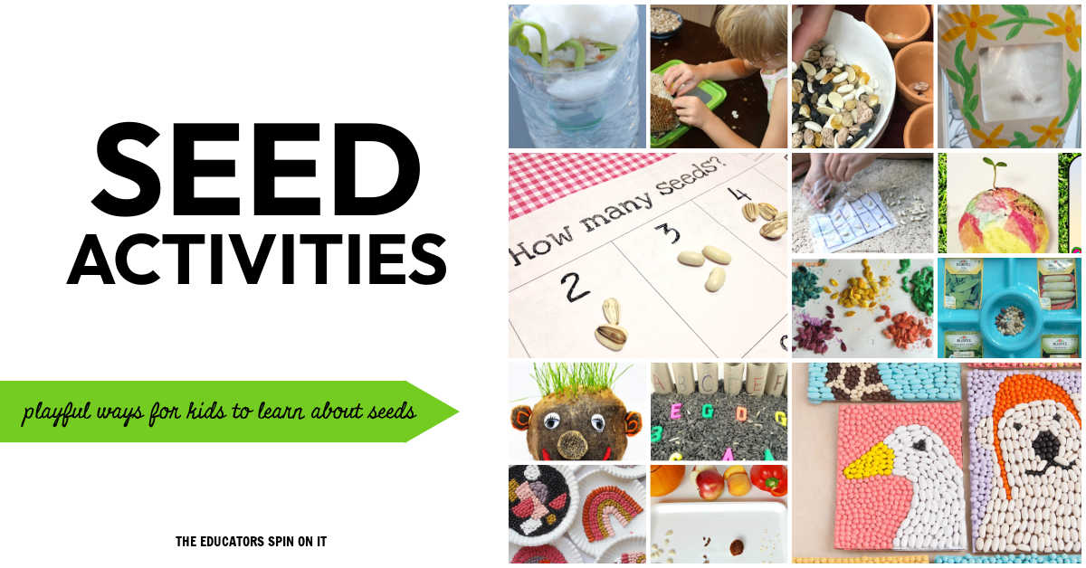 50+ Fun and Educational Seed Activities for Kids - The Educators' Spin ...