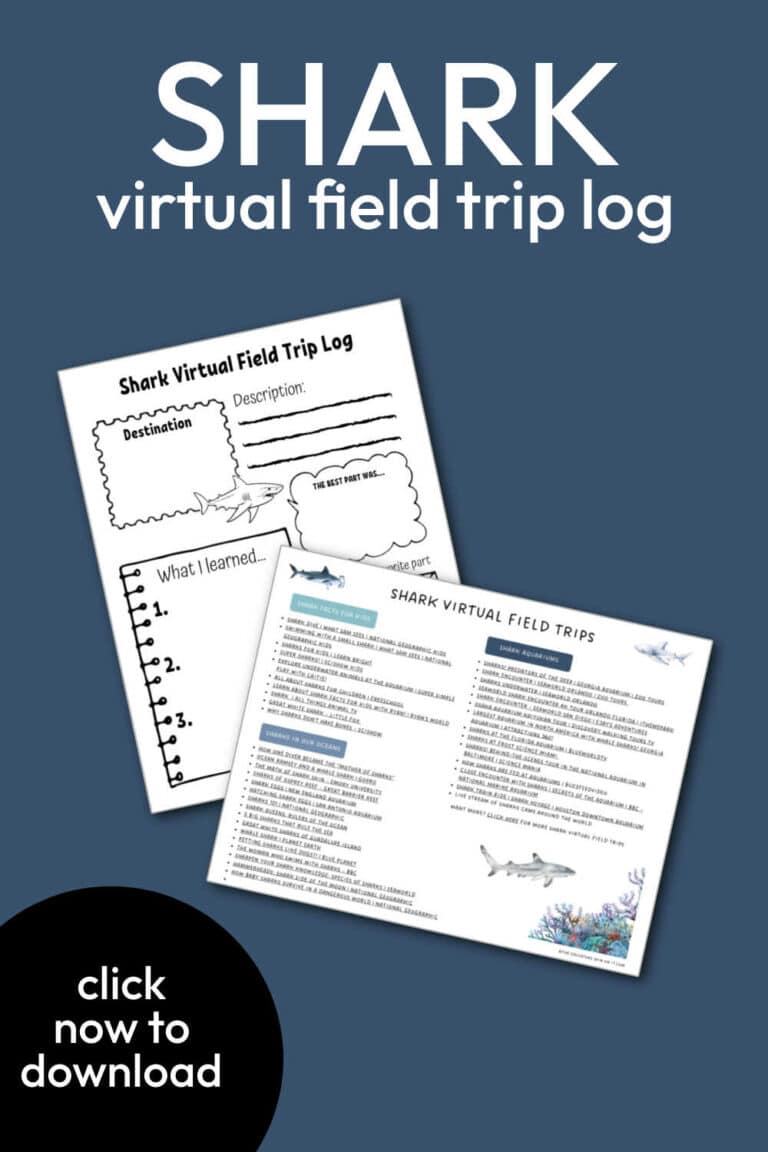 Shark Virtual Field Trip Log - The Educators' Spin On It