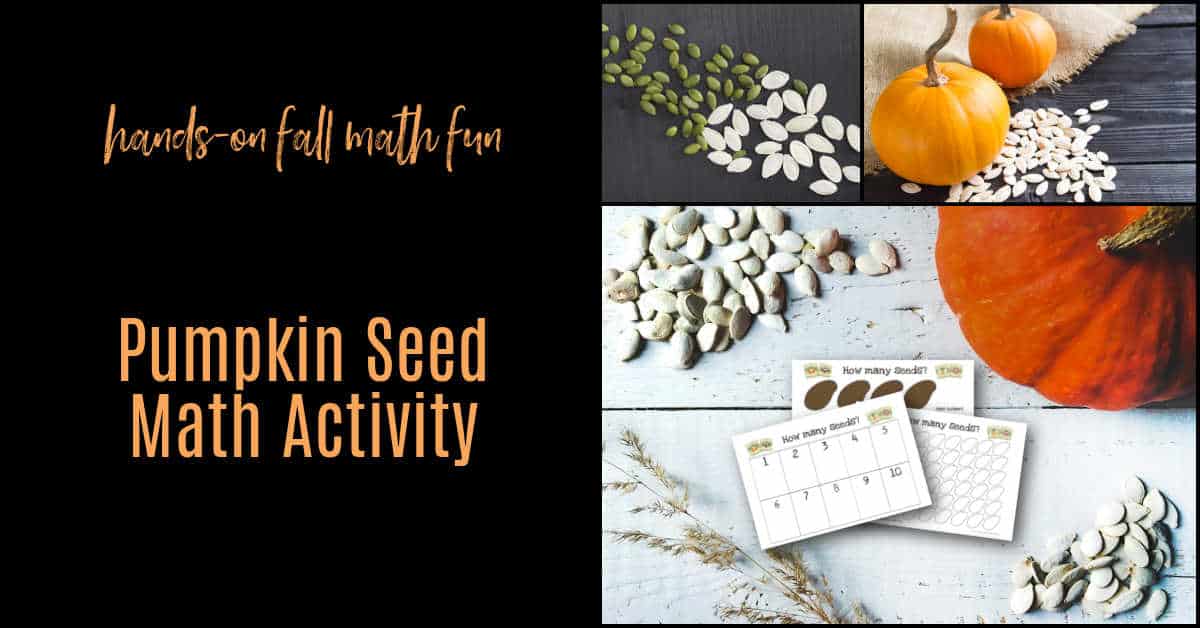 Pumpkin Seed Math Activities for Kids - The Educators' Spin On It