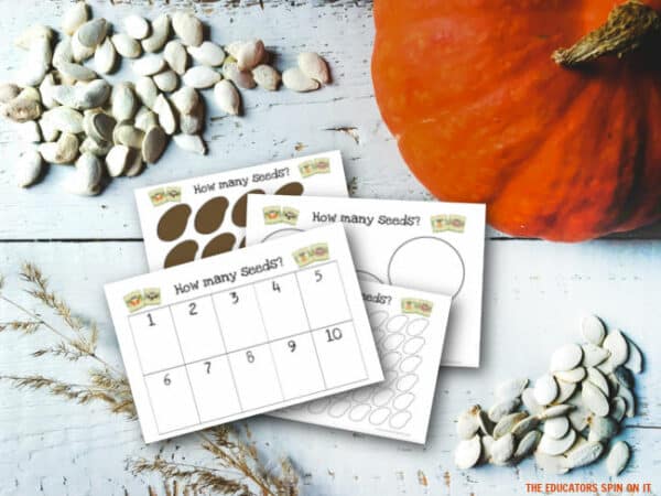 Pumpkin Seed Math Activities for Kids - The Educators' Spin On It